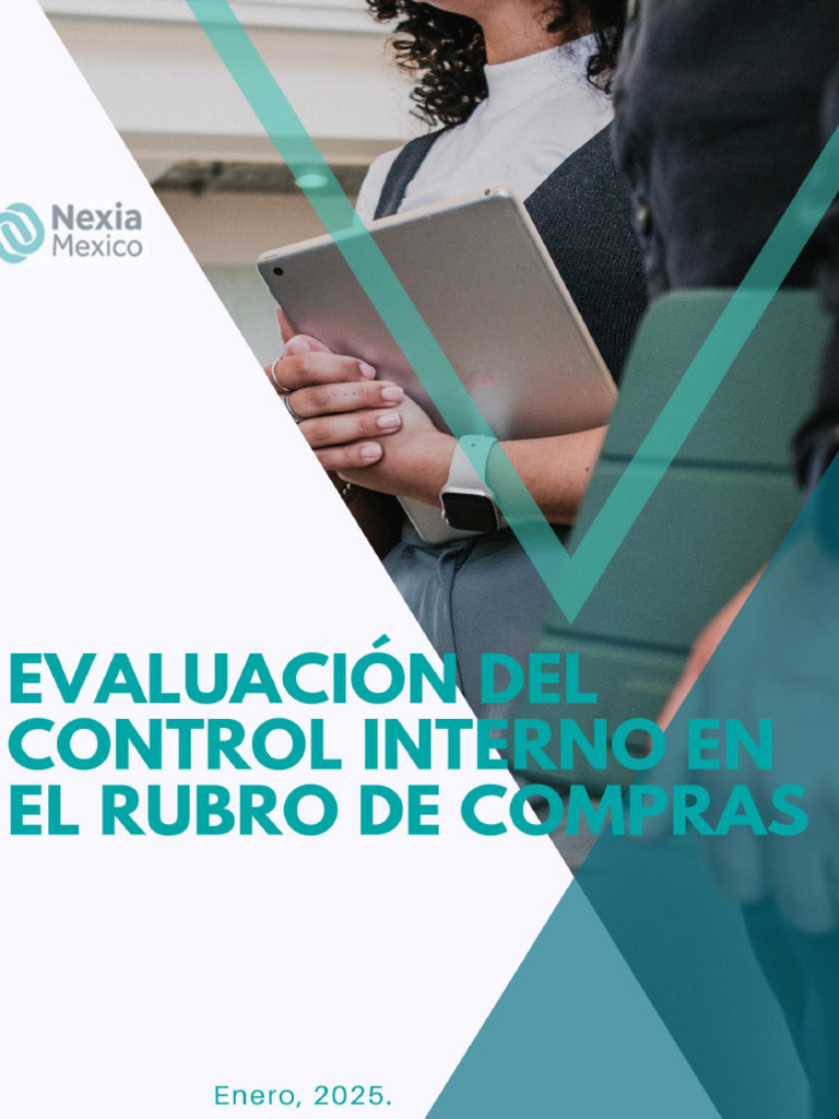 Guía Del Control Interno en El Rubro de Compras. | PDF