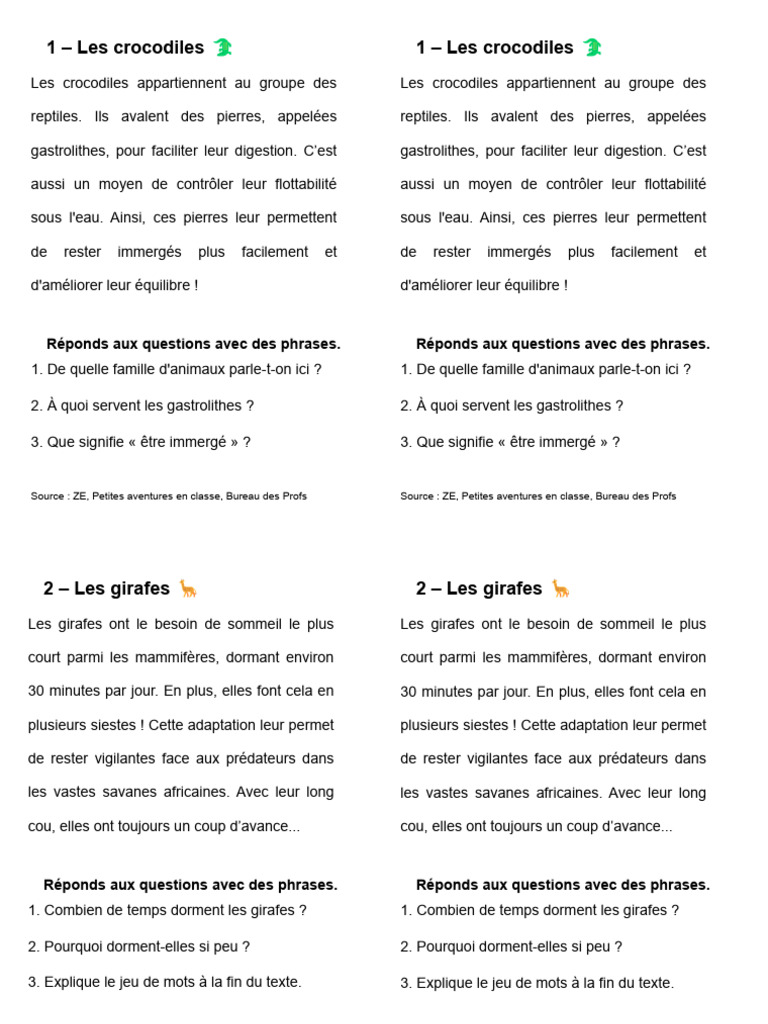 Animaux fascinants et leurs adaptations | PDF | Léopard | Ours