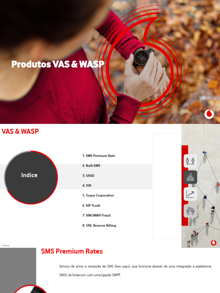 Apresentacao VAS & WASP 2024 | PDF | Imposto sobre Valor Agregado (IVA) | Business