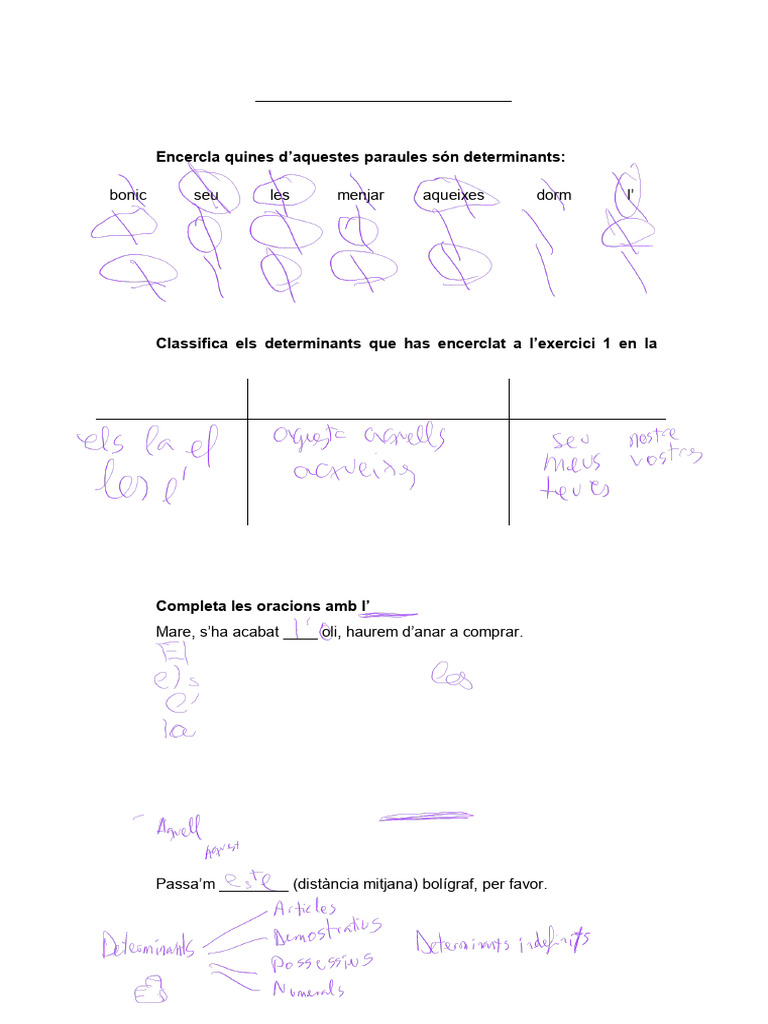 Exercicis Dels Determinants | PDF