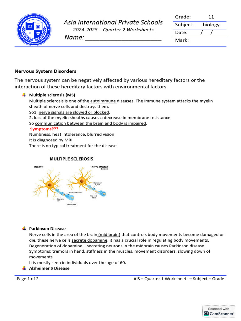 Nervous System Disorders Notes | PDF