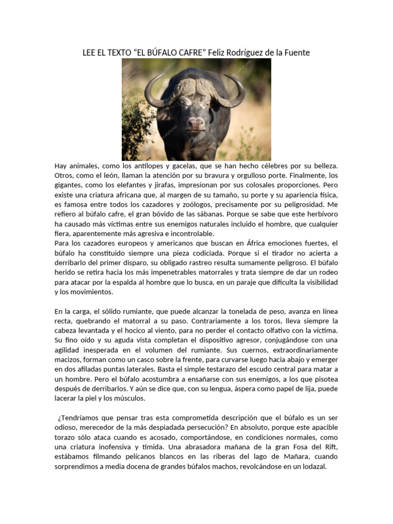 Lee El Texto El Bùfalo Cafre | PDF | Bóvidos