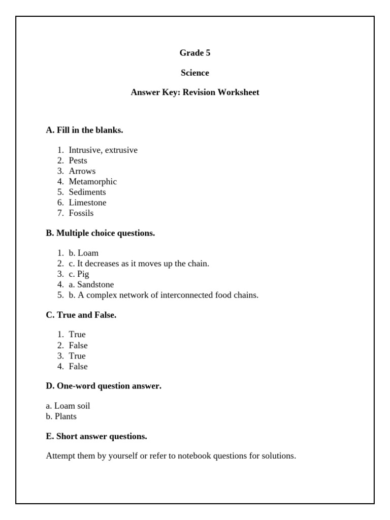G5-Revision Worksheet Answer Key | PDF G5-Revision Worksheet Answer Key | PDF