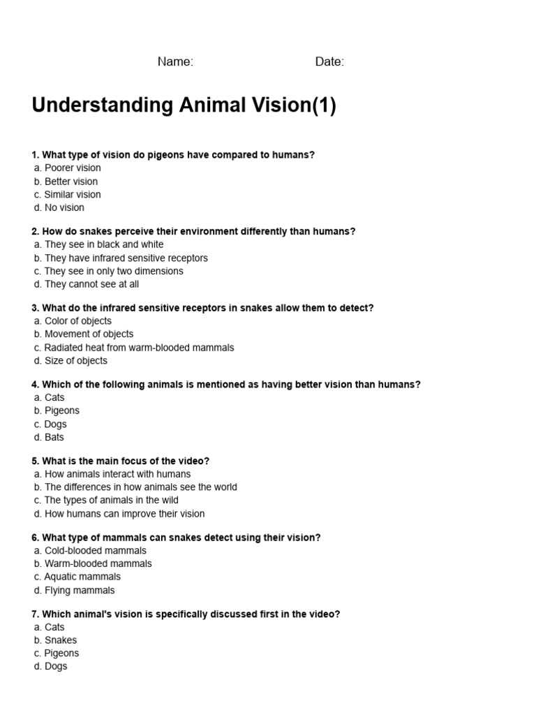 The World Through The Eyes of Animals Youtube Video | PDF | Color | Eye