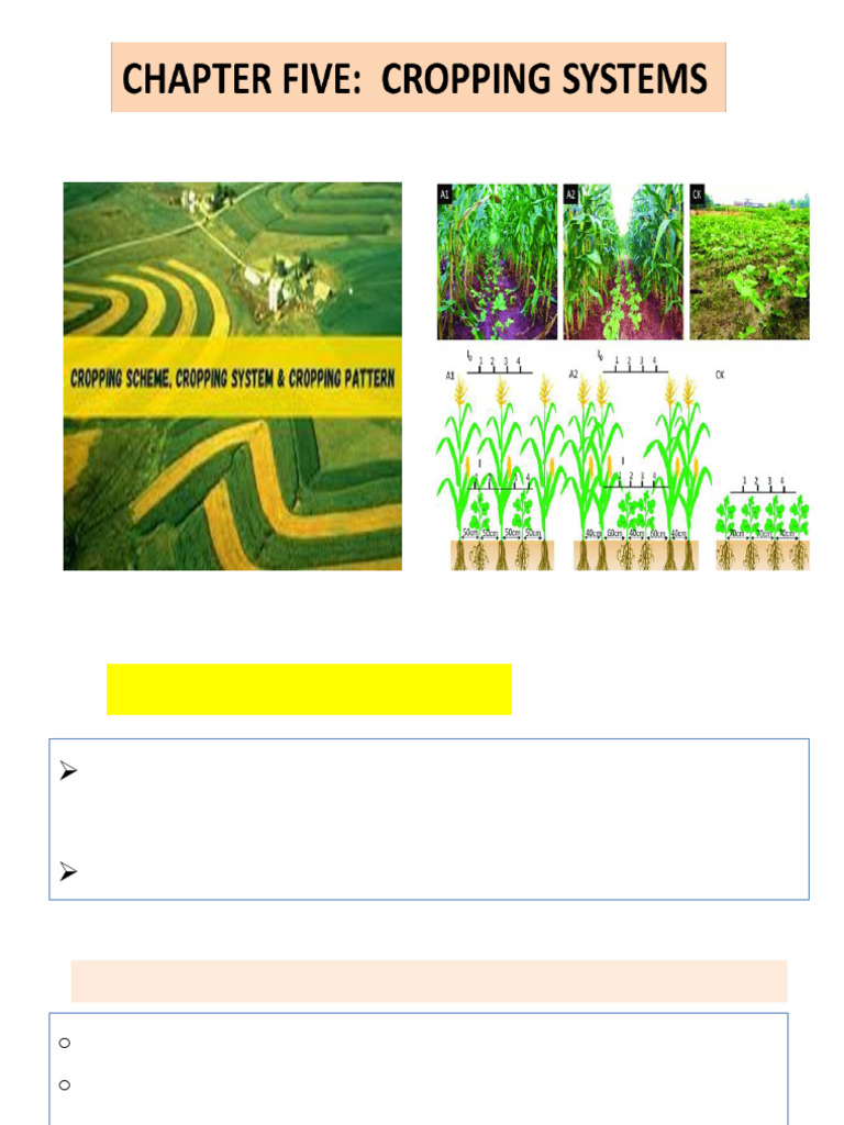 Lecture 5 Cropping System | PDF | Crops | Agriculture