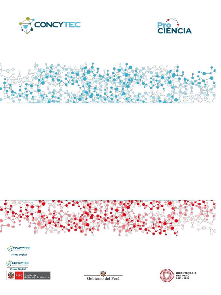 6141370-bases_piccss-2025 | PDF | Presupuesto | Fundación (sin fines de ...