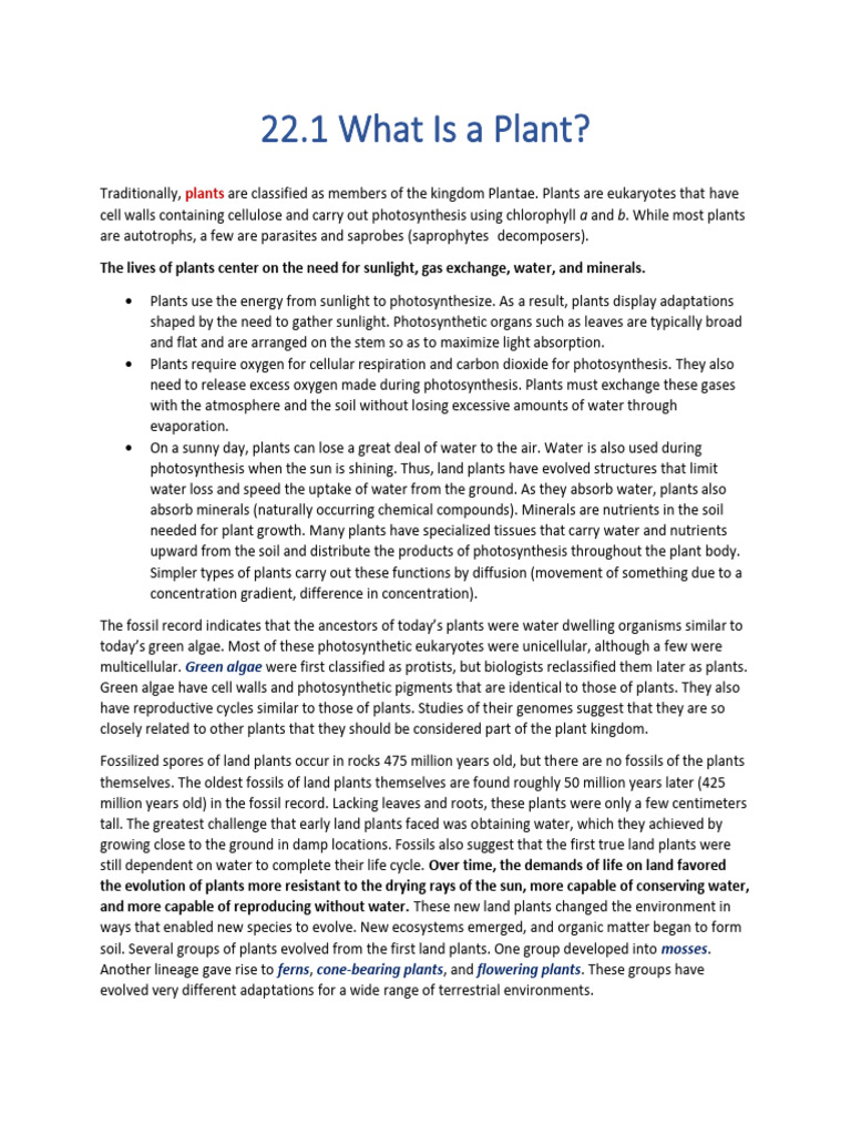 Chapter 22 Introduction to Plants Summary | PDF | Plants | Seed