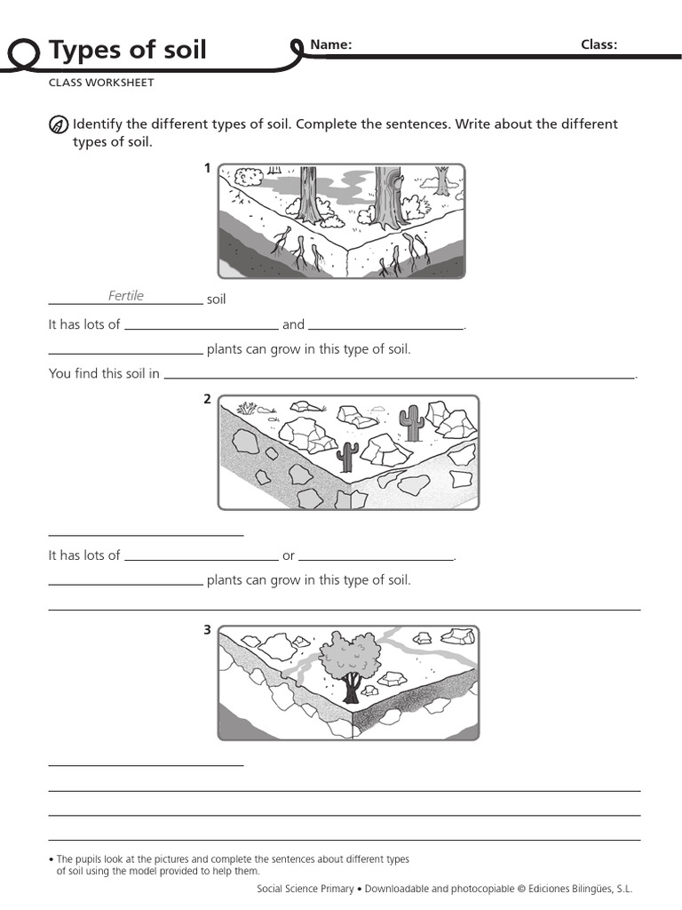d0685-social_8_10_world_worksheet_types_of_soil | PDF