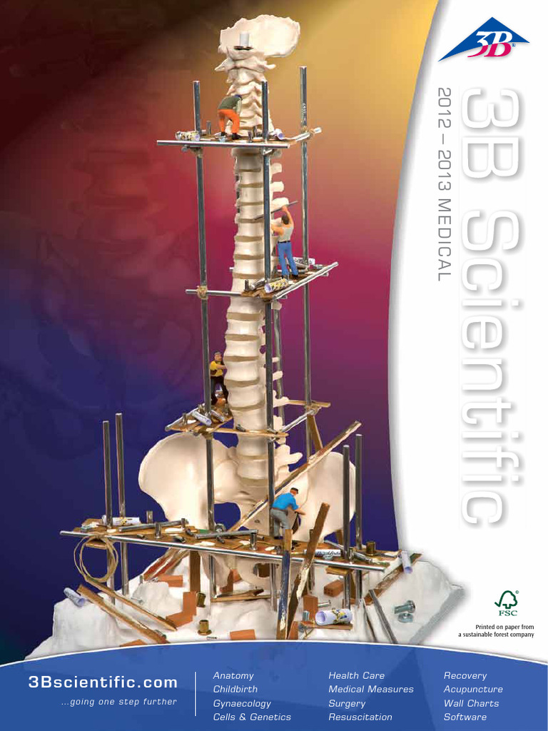 3B Scientific | PDF | Medical Specialties