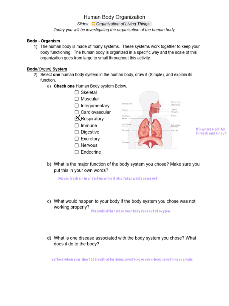 Updated Human Body Organization 24-25 | PDF | Cell (Biology ...