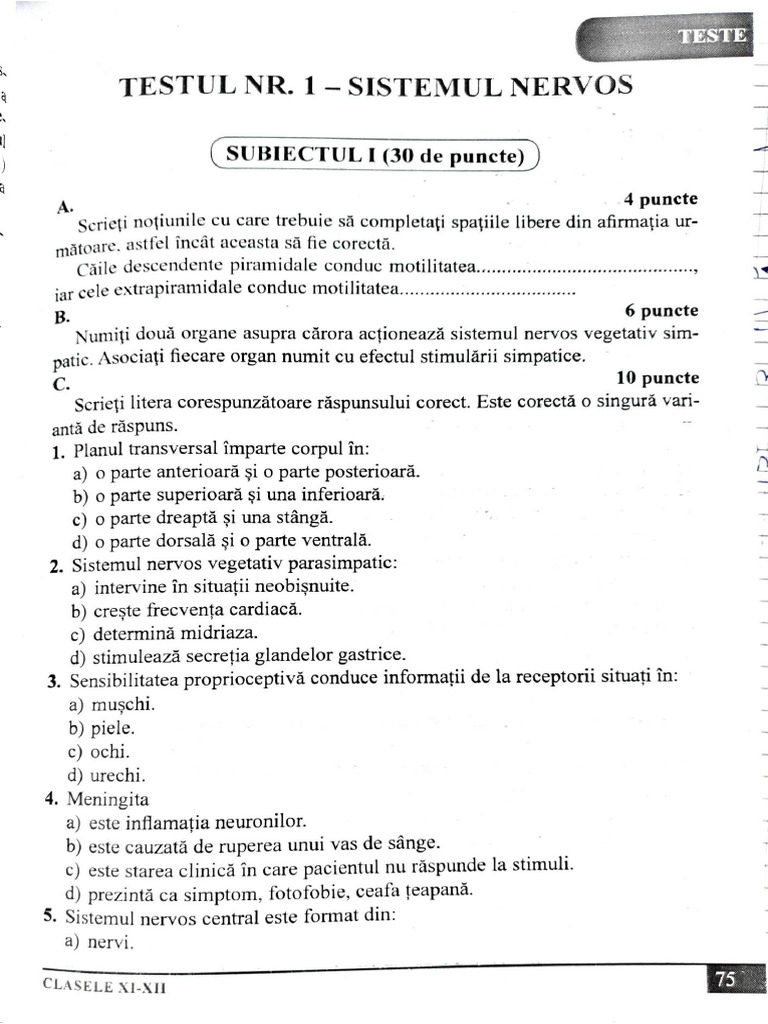 Teste Delfin | PDF