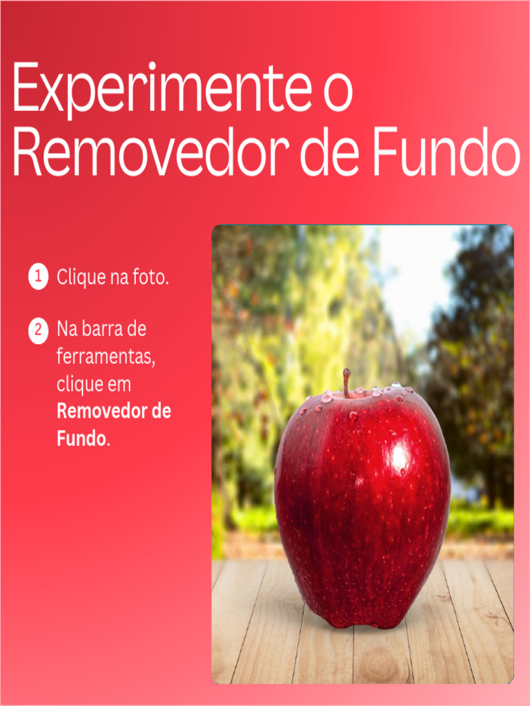 Removedor de Fundo No Print - 20250116 - 181841 - 0000 | PDF