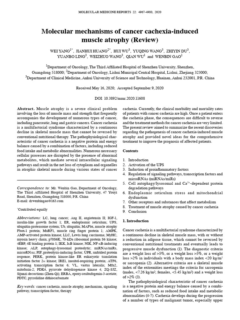 Cancer Cachexia and Muscle Atrophy Mechanisms | PDF | Protein Kinase B ...