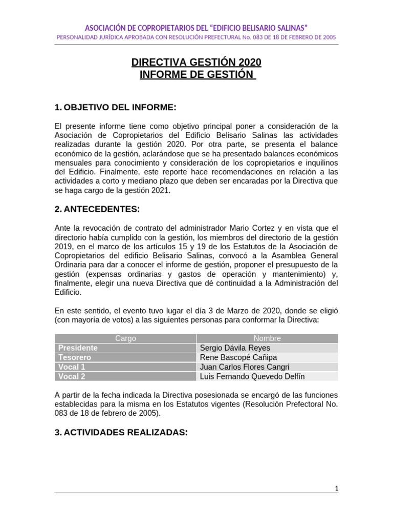 Informe de Gestion 2020 | PDF