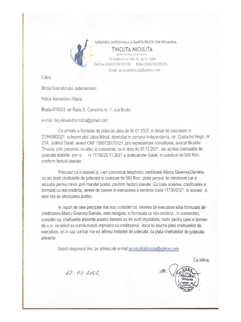 Tincuta Niculita | PDF