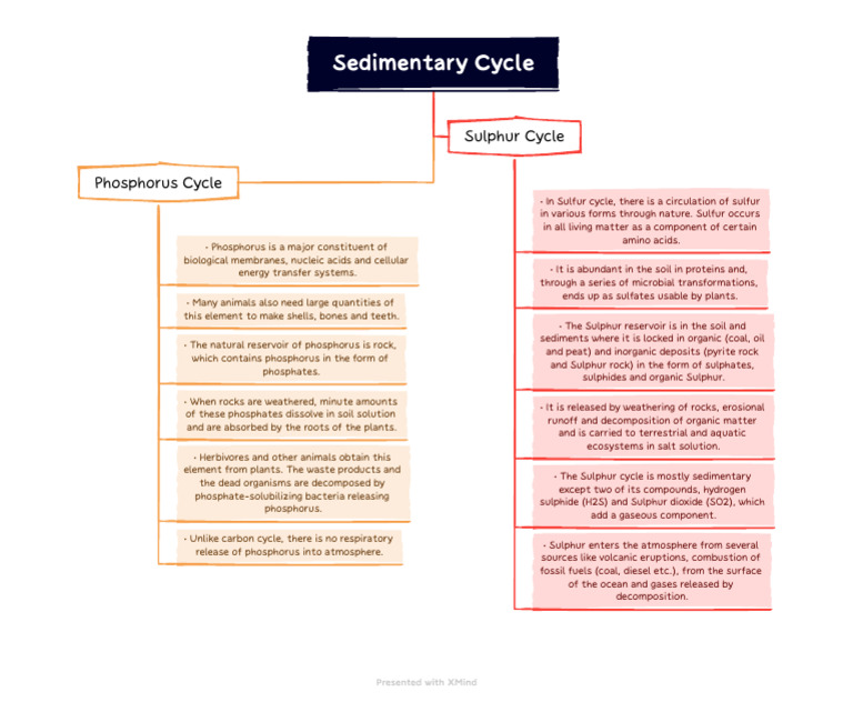 06 MAY Sedimentary Cycle | PDF | Sulfur | Phosphorus