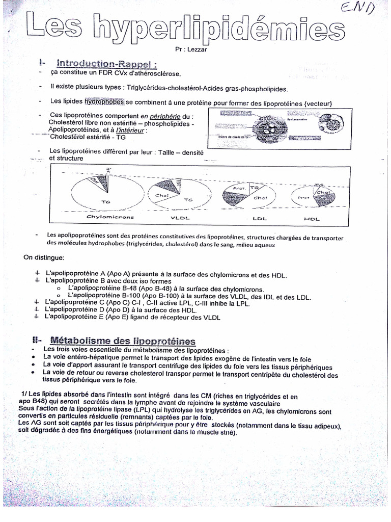 Les Hyperlipidémie | PDF
