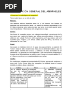 Ciclo Del Aedes Aegypti | PDF | Mosquito | Aedes aegypti