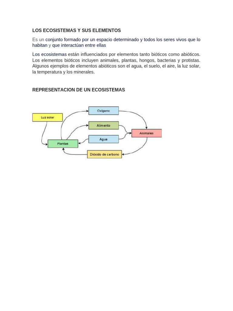 Los Ecosistemas y Sus Elementos | PDF