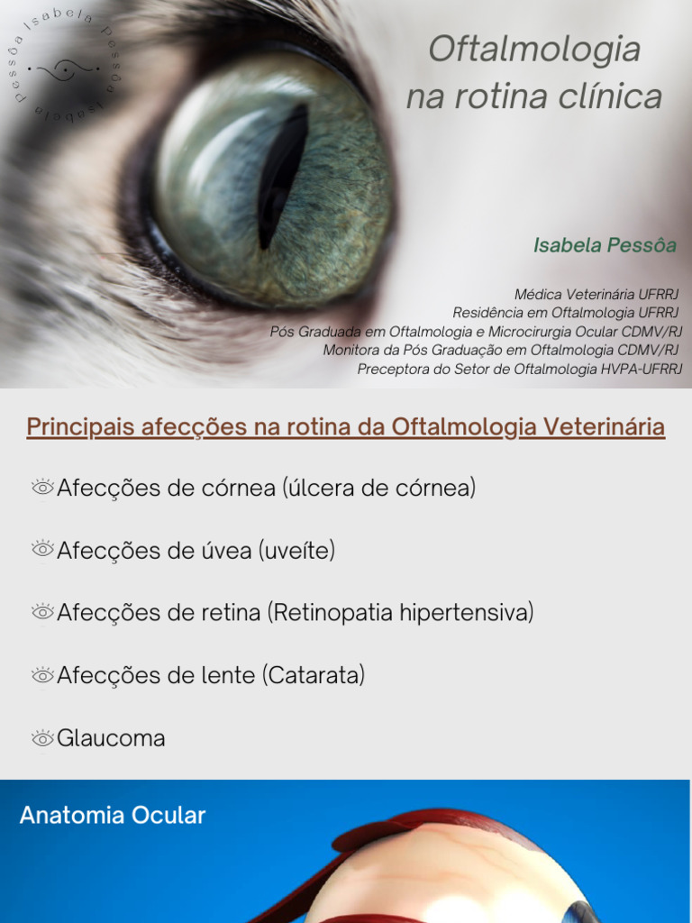 Oftalmo Aula Med Interna | PDF | Glaucoma | Córnea