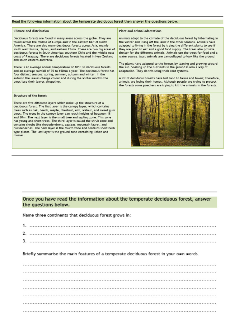 Temperate Deciduous Forests | PDF | Forests | Trees