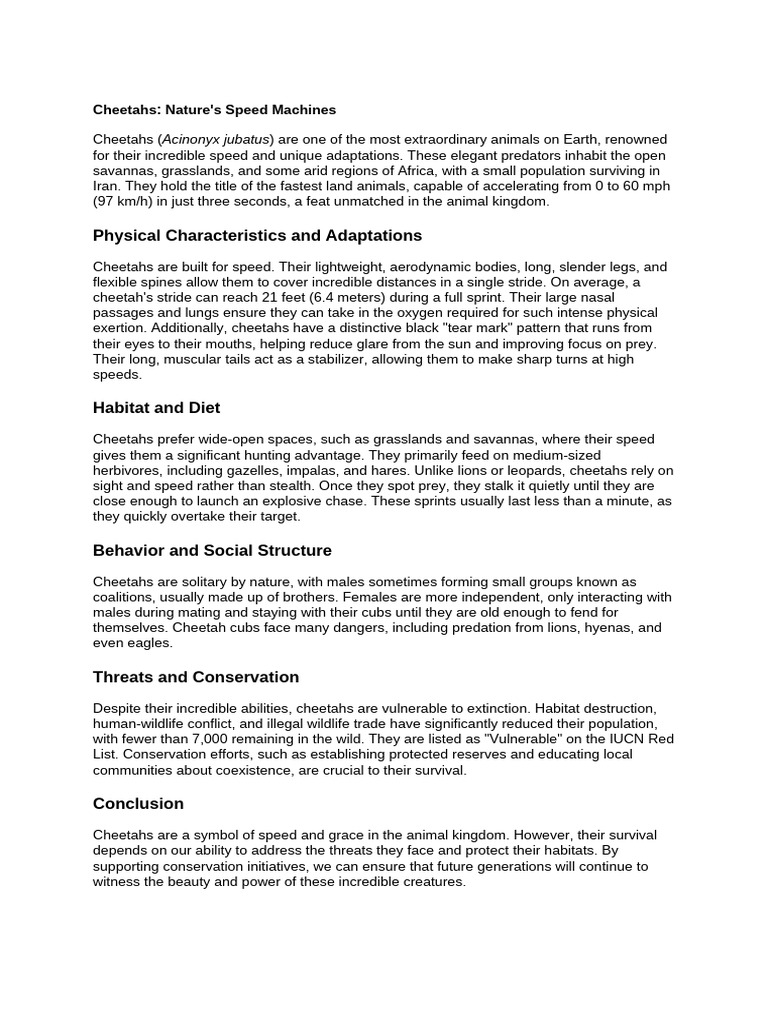 Research Paper About Cheetahs - The Fastest Land Animals | PDF ...