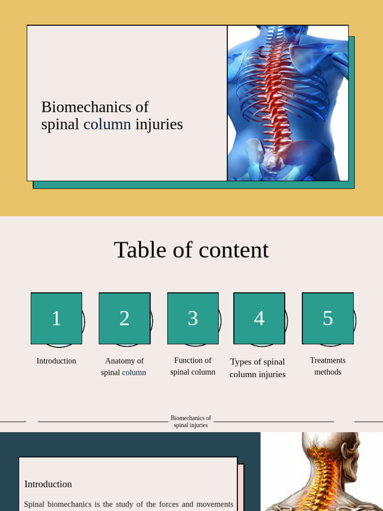 Biomechanics of Spinal Injuries Presentation | PDF | Vertebral Column ...