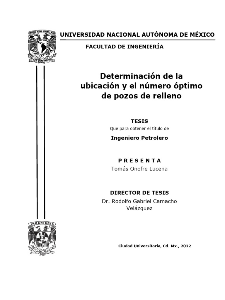 Determinación de La Ubicación y El Número Óptimo de Pozos de Relleno | PDF | Gases | Viscosidad