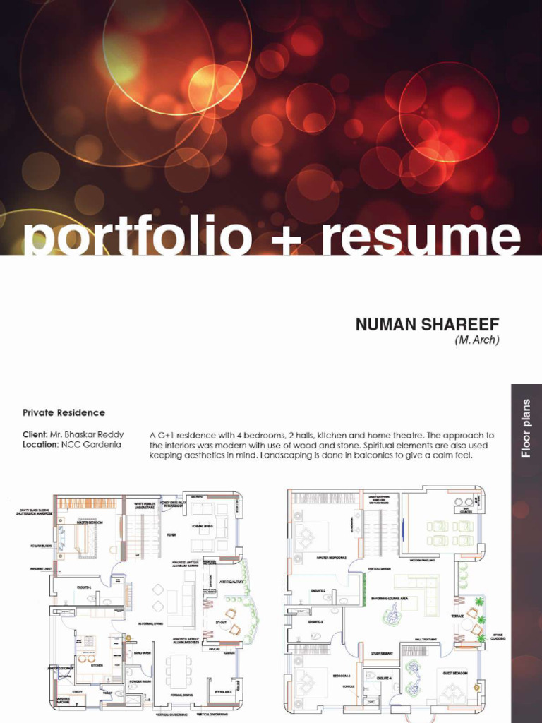 Numan Shareef Professional Portfolio | PDF