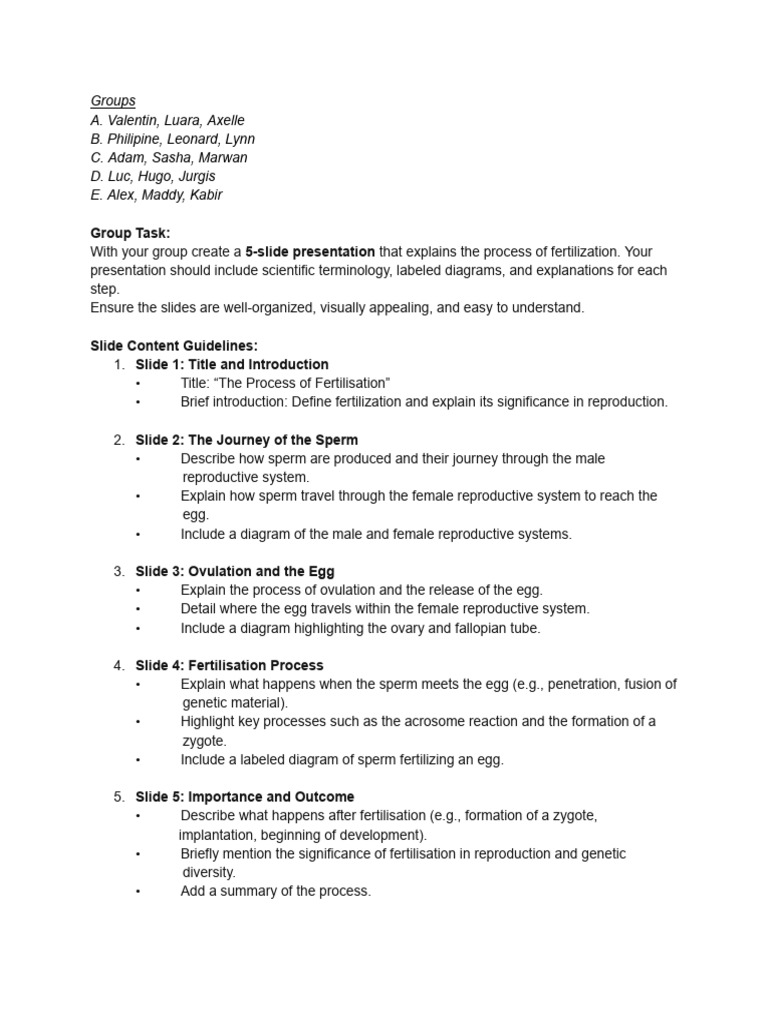 MYP3 Fertilization Group Presentation LH | PDF