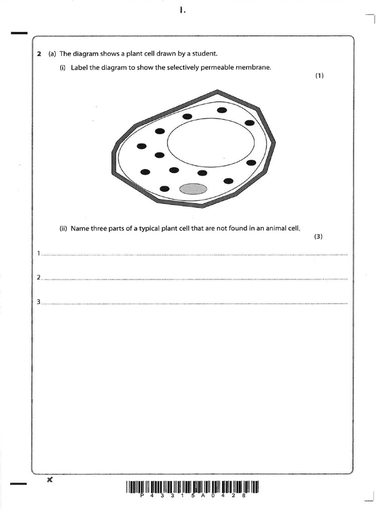 Cells%2C%20their%20structure%20and%20organisation | PDF