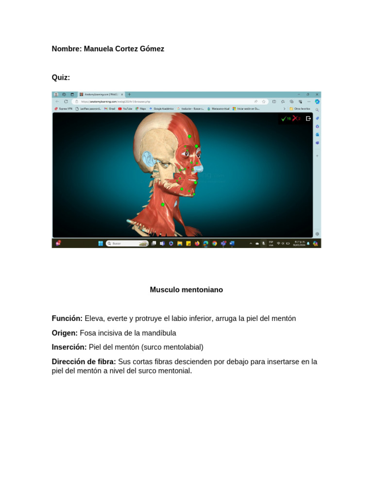 Músculo Mentoniano | PDF