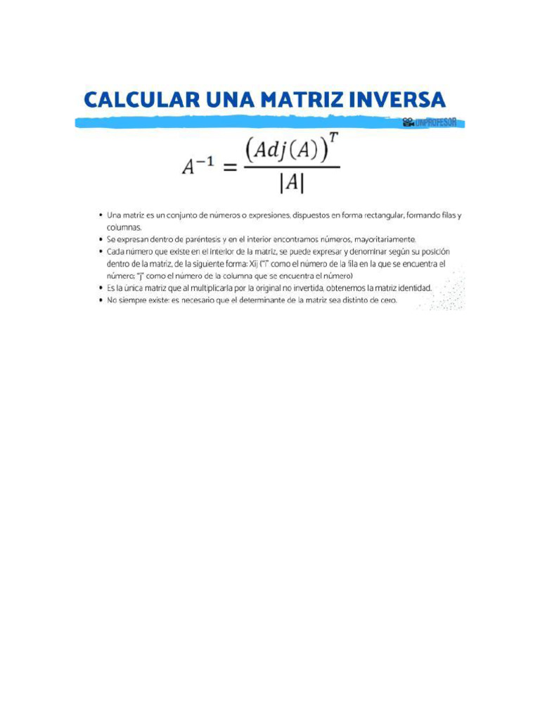 MATRIZ INVERSA | PDF