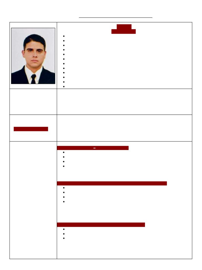 CV Leland Medina | PDF
