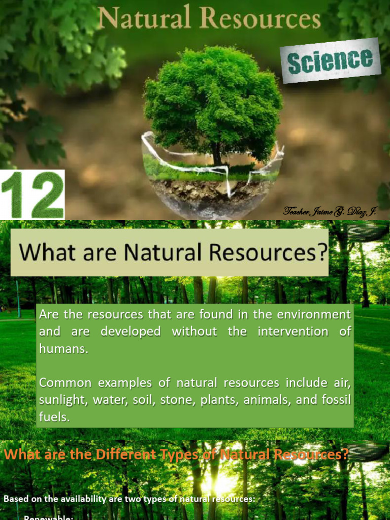 Types of Natural Resources Explained | PDF | Renewable Resources | Verb