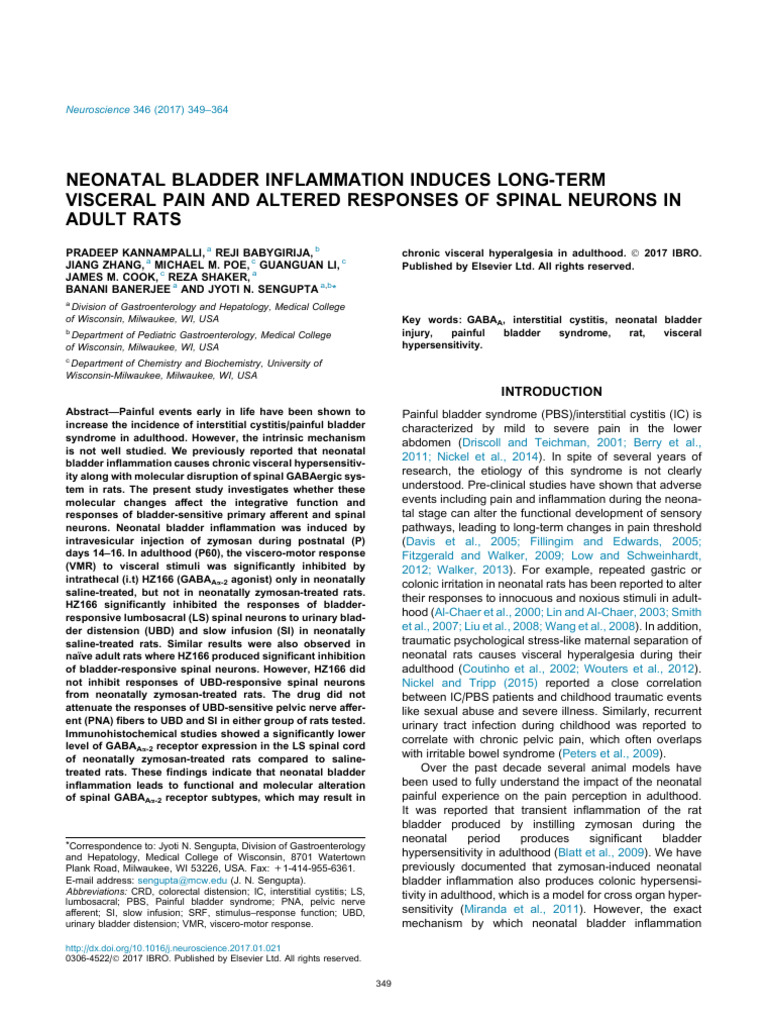 2017 Neonatal Bladder Inflammation Kannampalli et al | PDF