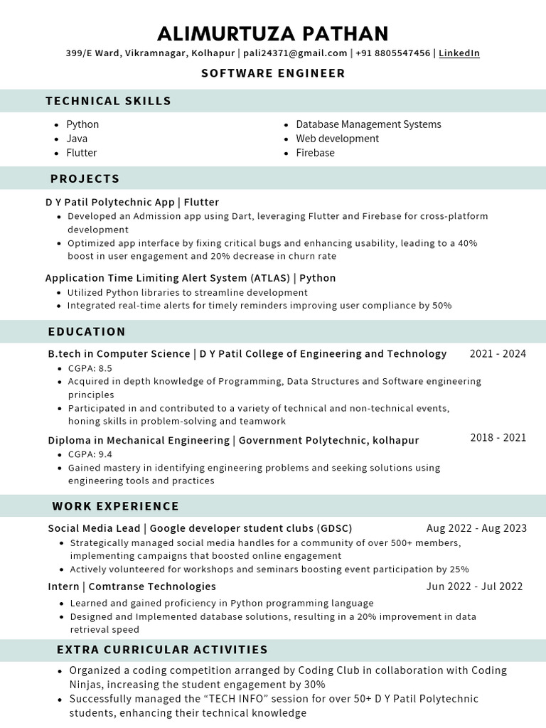 Aspiring Software Engineer Profile | PDF