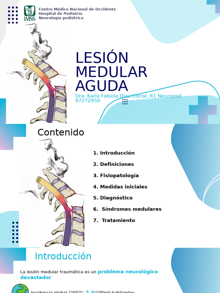 Lesión Medular Aguda: Diagnóstico y Tratamiento | PDF | Lesión de la ...