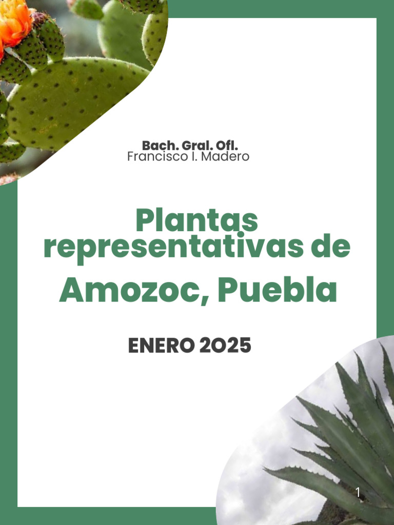 Act. 21 MONOGRAFÍA - 20250115 - 235520 - 0000 | PDF | Biodiversidad ...