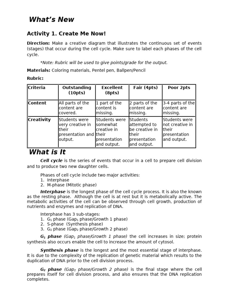 Cell Cycle - Drawing Activity 1 | PDF | Cell Cycle | Life Sciences