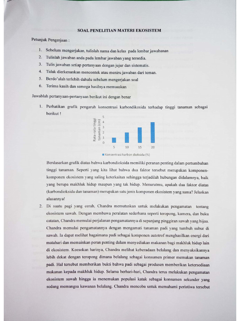 Proposal p5 | PDF