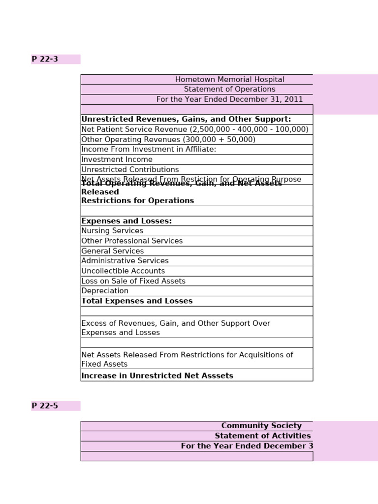 Module 9 Assingment_Nick Miller | PDF | Revenue | Expense
