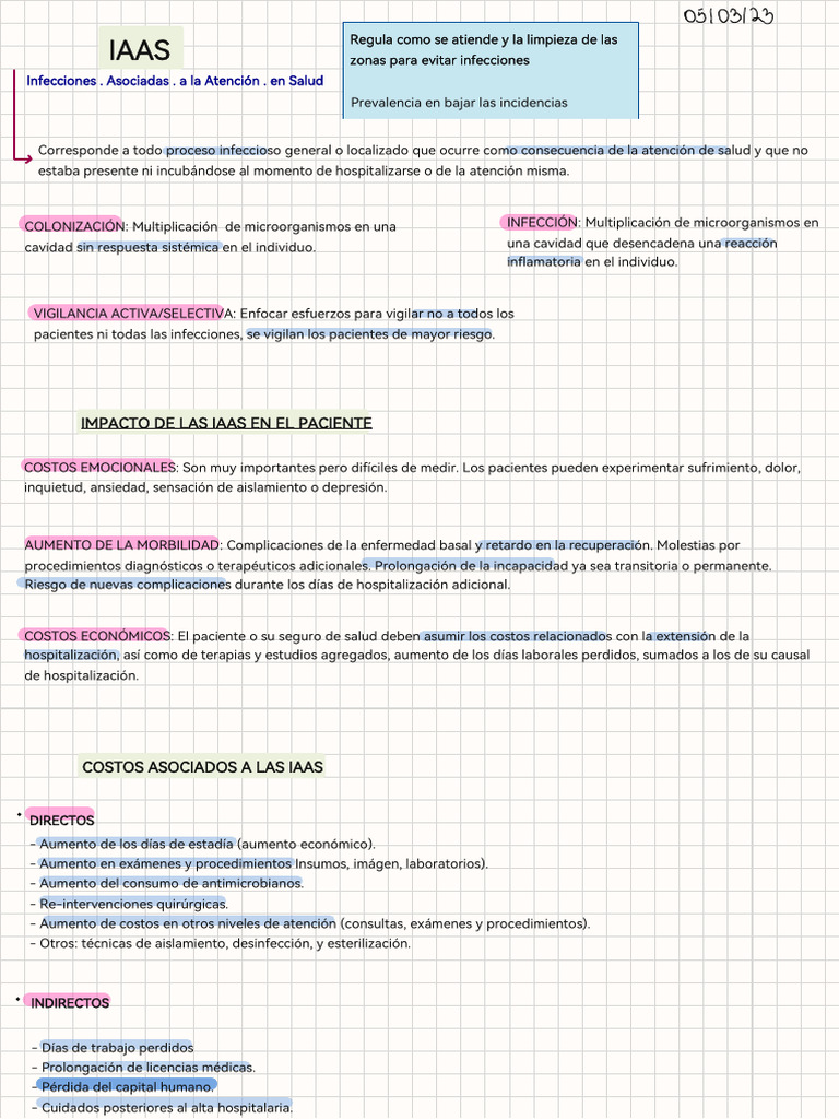 Generalidades Del IAAS | PDF