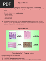 Anatomia Epitelio Plano Simple | PDF | Epitelio | Piel