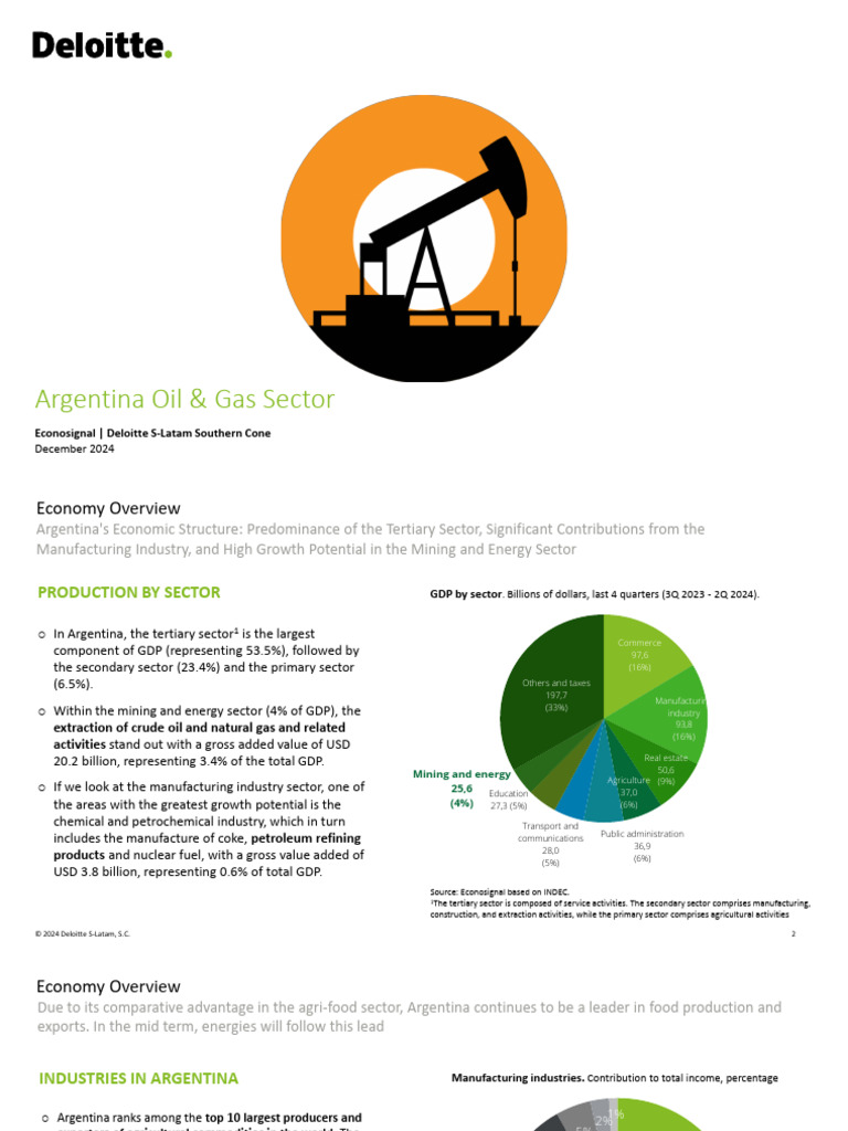 Argentina Oil Gas Outlook 2024 | PDF | Natural Gas | Economies