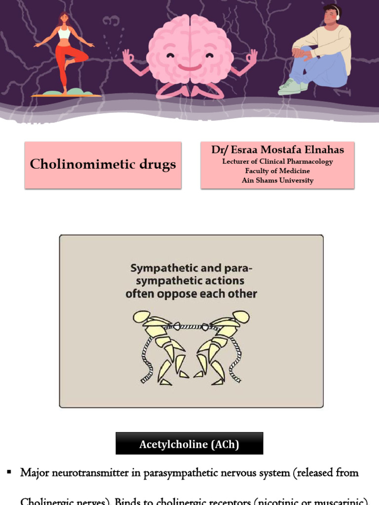 Cholinergic Drugs | PDF | Acetylcholine | Neurotransmitter