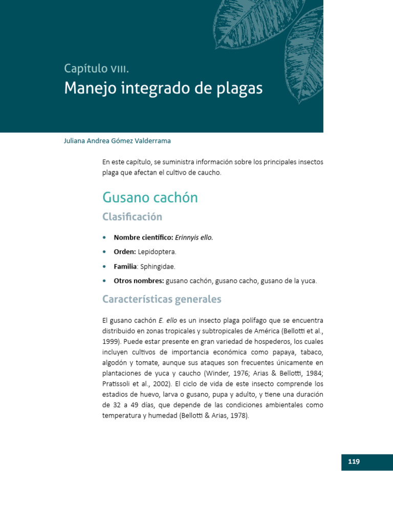 Documento Gusano Cachom Erinnyis Ello | PDF | Hormiga | Control ...