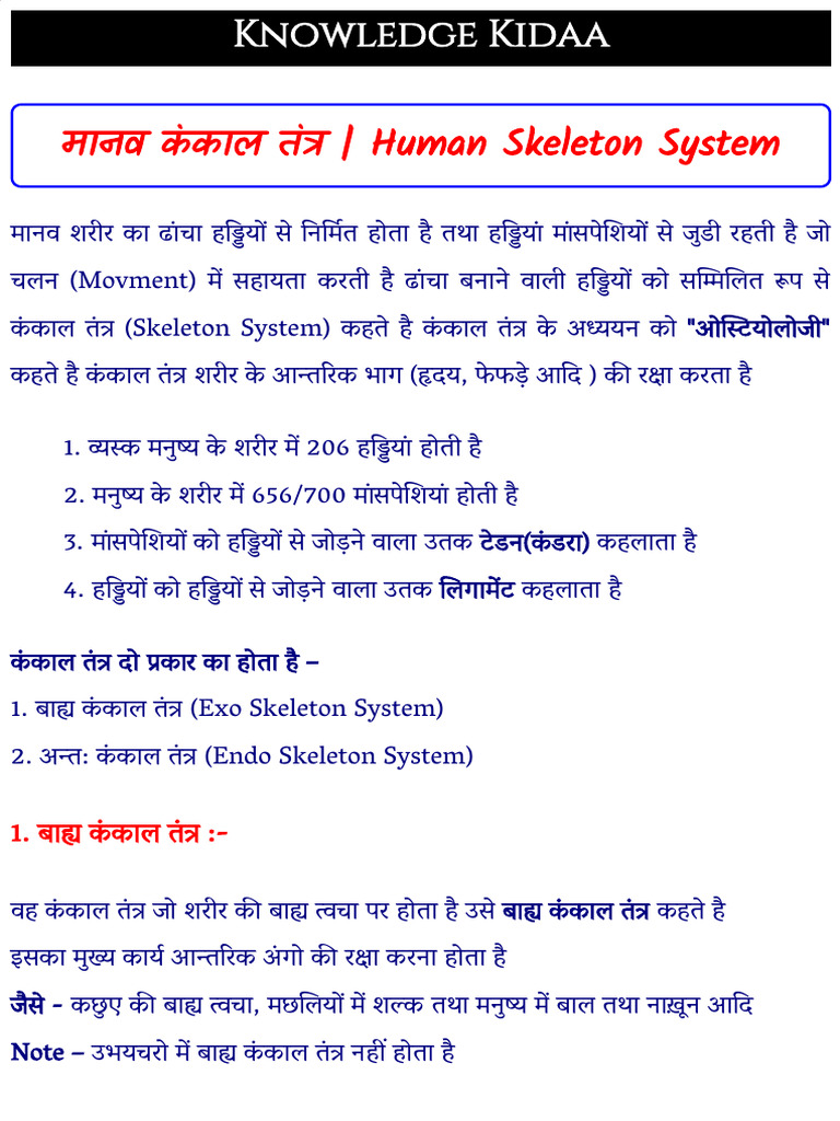 मानव कंकाल तंत्र (Human Skeleton System) | PDF