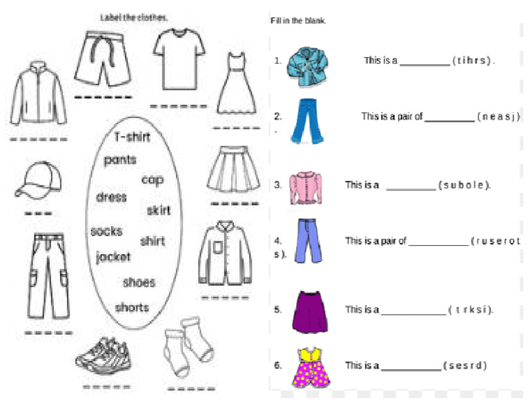 Clothes Worksheet | PDF