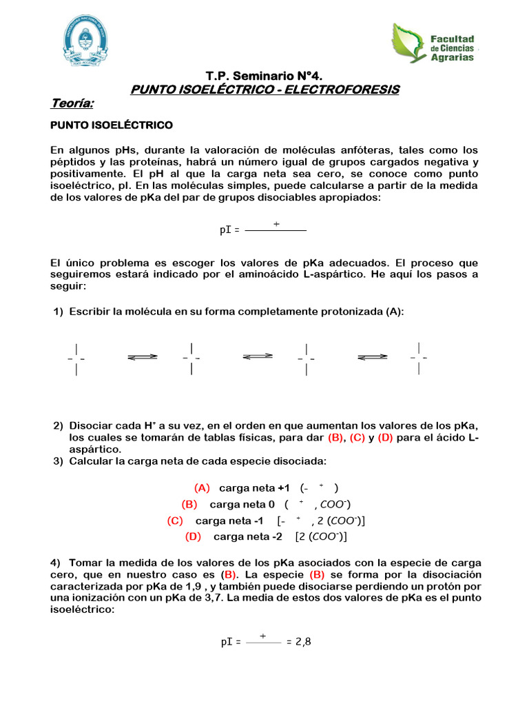 Punto Isoeléctrico y Electroforesis | PDF | Constante de disociación ...